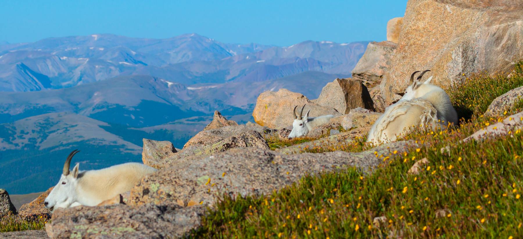 Copper Vacations | Copper Mountain Lodging, Condos & Vacation Rentals